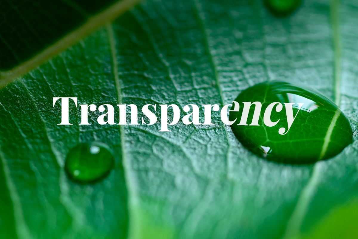 Restoring confidence: how rating firms are helping companies