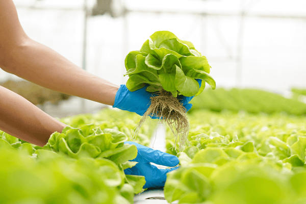 Green Earth | The ultimate guide to water conservation