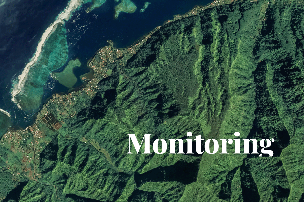 Smithsonian receives $12M from Bezos Fund to launch GEO-TREES: a ...