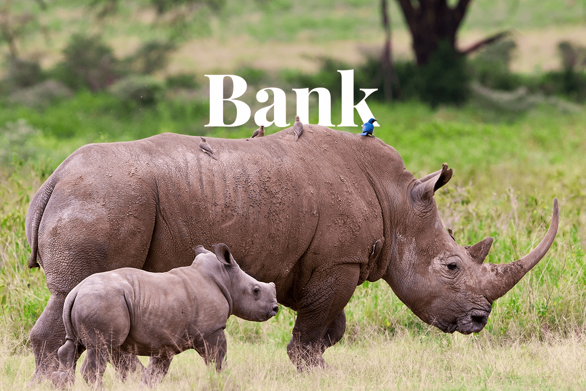 South Africa launches national biodiversity biobank