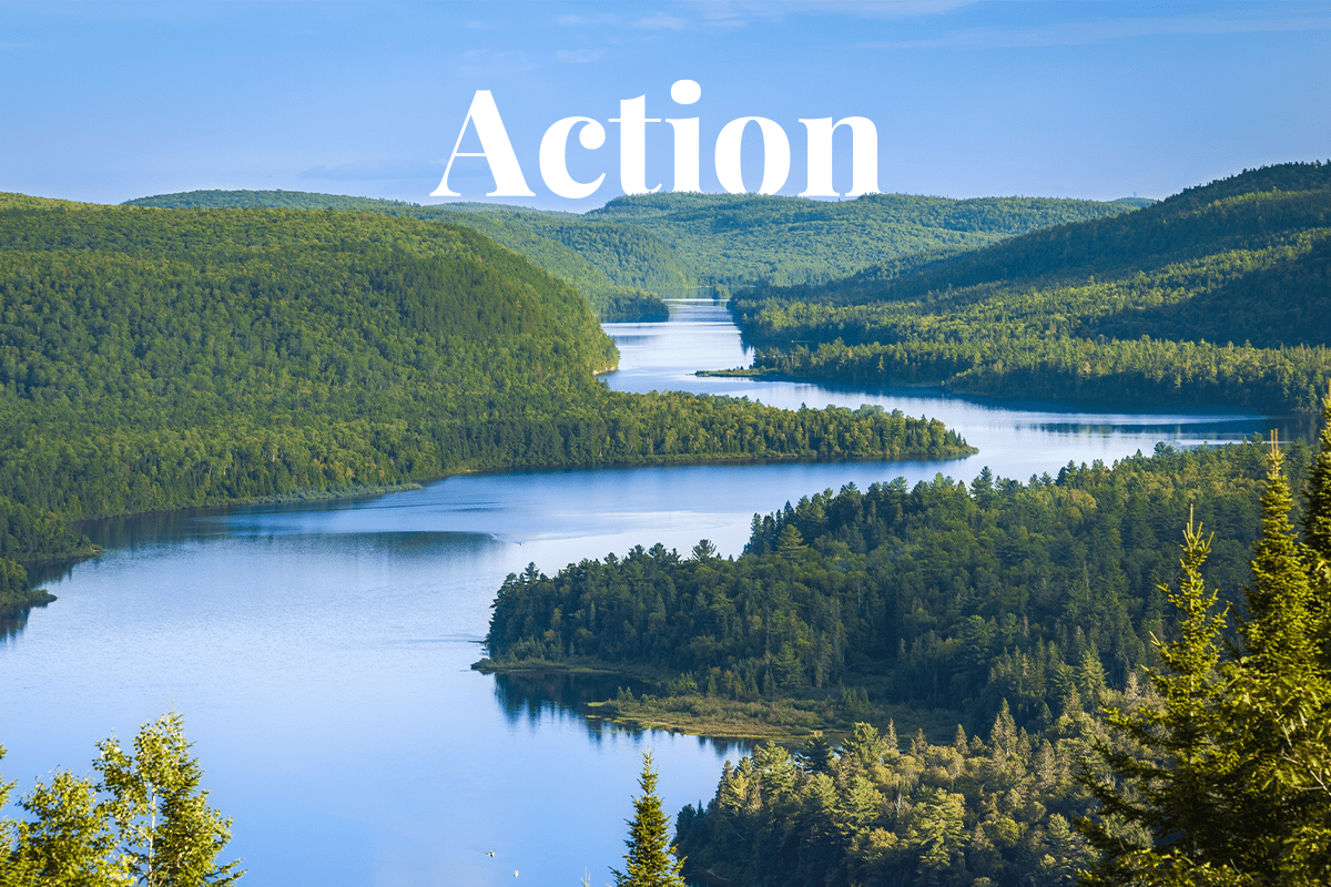 Sustainable forestry practices combatting deforestation in Canada