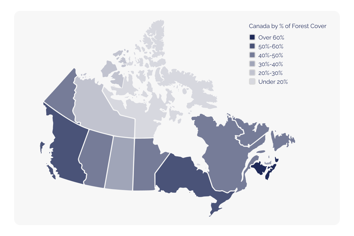 Sustainable forestry practices combatting deforestation in Canada