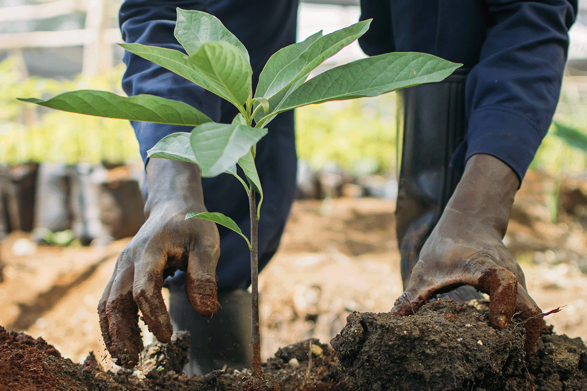 The Triple Bottom Line: balancing profit, people, and the planet for ...