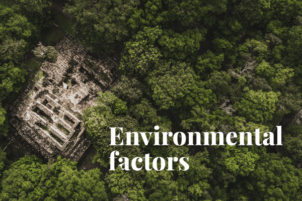 The decline of the Maya civilisation: How environmental factors played ...