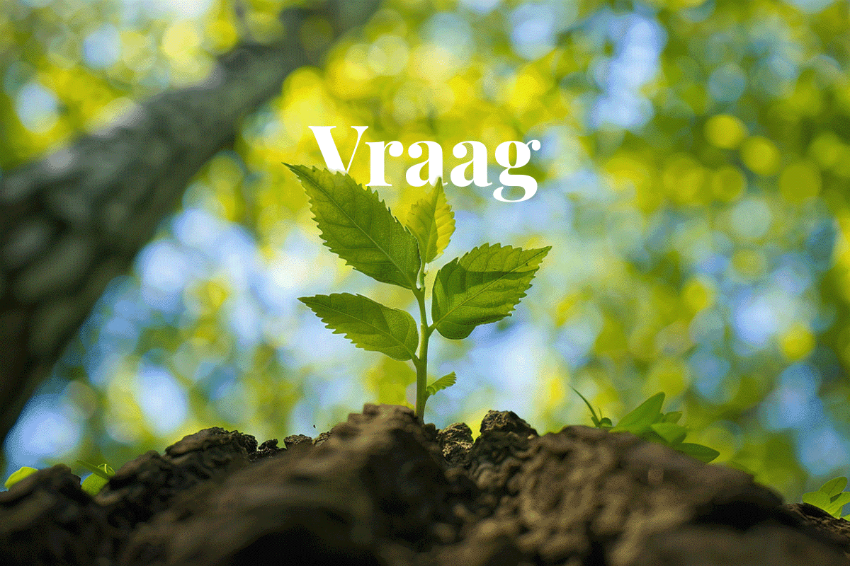 De toekomst van CO₂-certificaten: een markt van $100 miljard in 2035