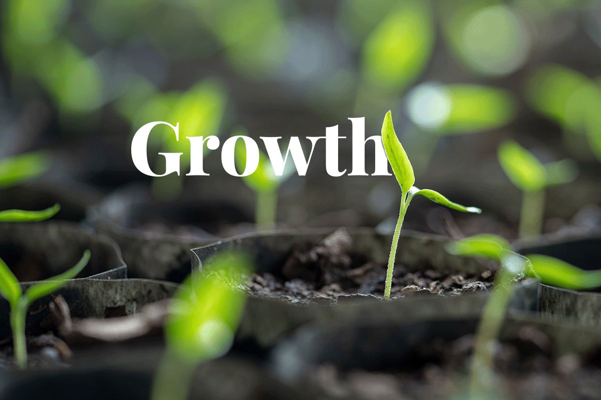 The power of sustainability: Why investing in sustainability drives ...