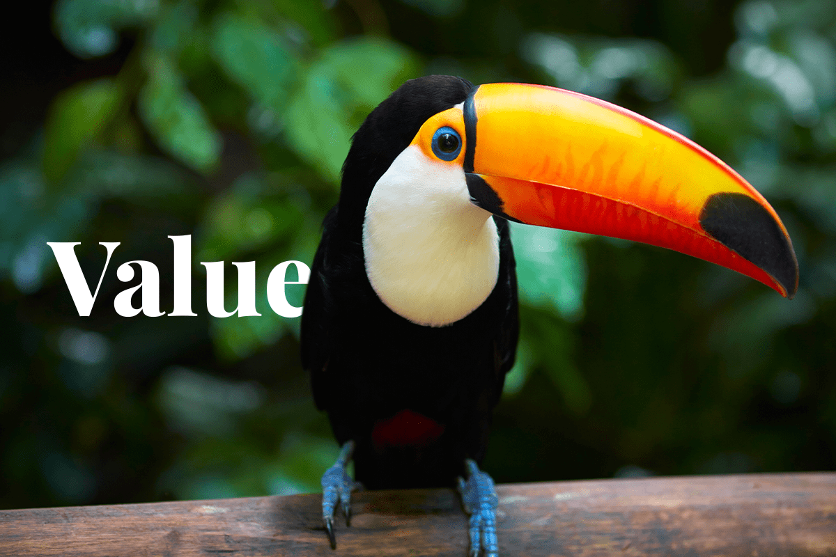 The quantified case for protecting the natural world: valuing nature ...