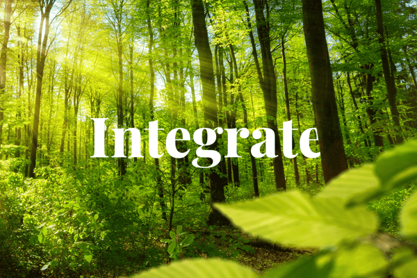 The roots of a sustainable future: integrating trees into a circular ...