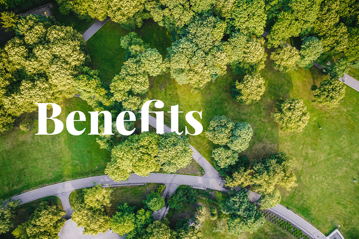 Green infrastructure: how nature can improve urban living