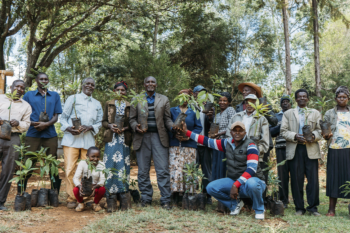 Meet Kenya's green heroes: the team behind the Hongera projects