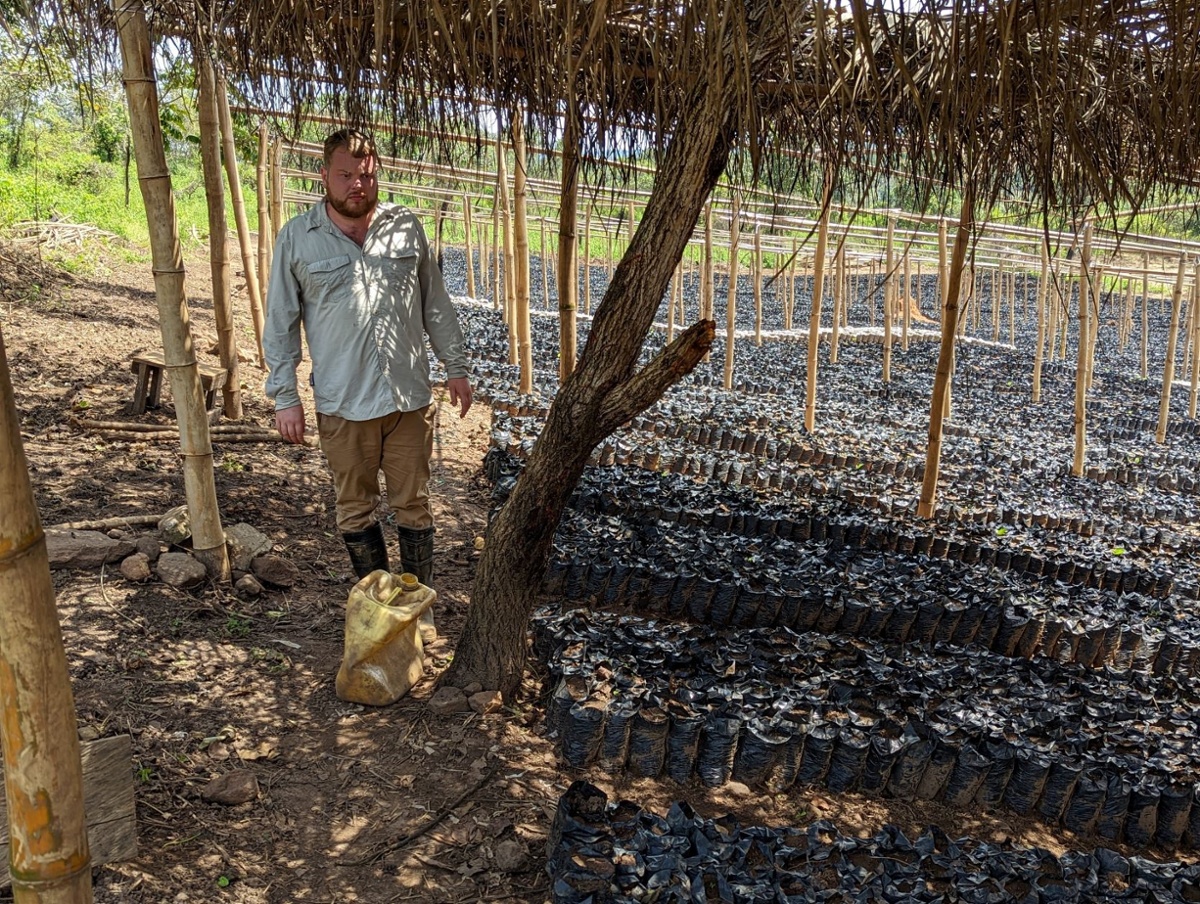The tree nursery is expanding in Cameroon