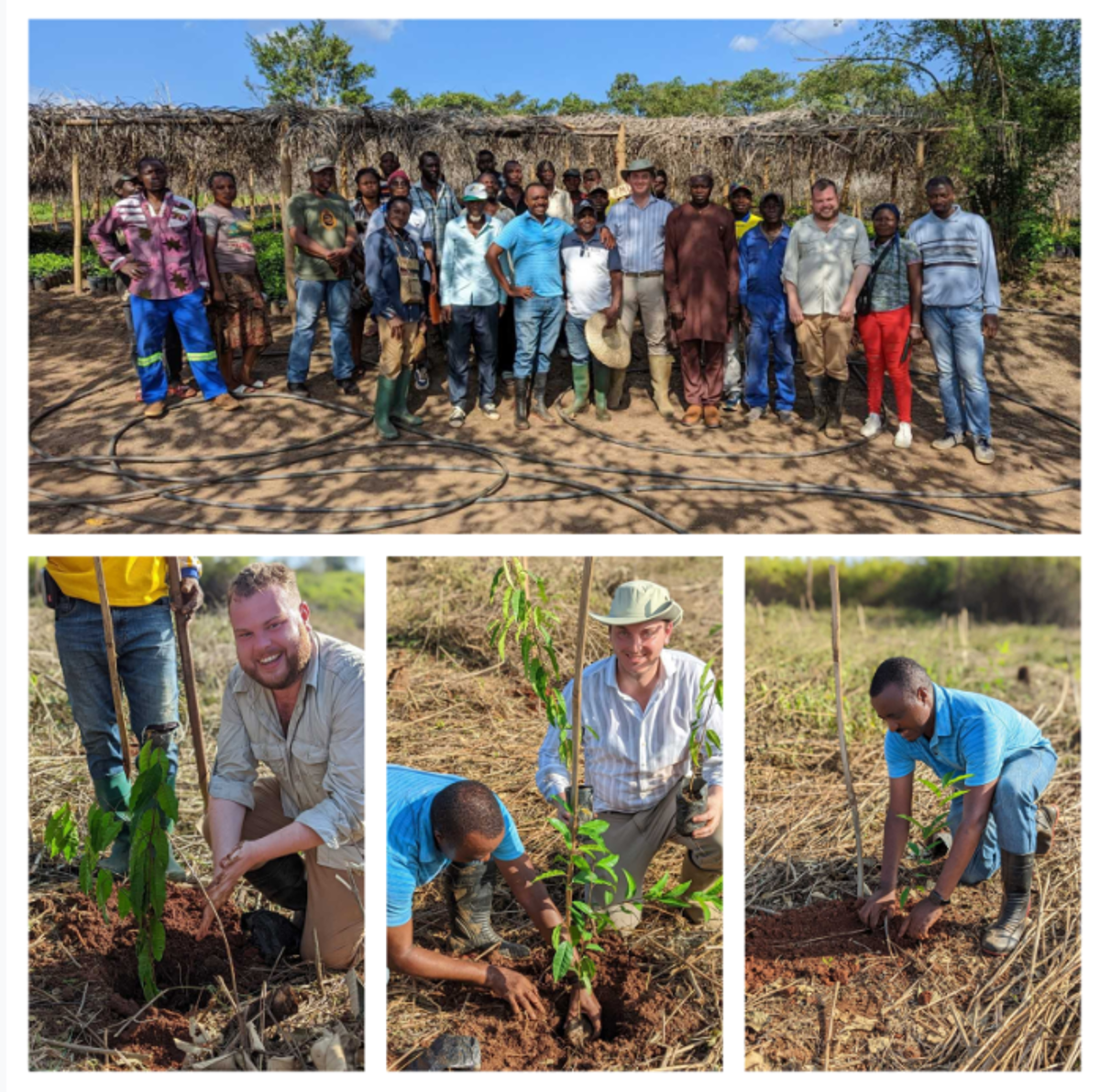 The tree nursery is expanding in Cameroon
