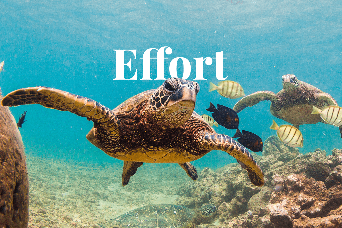 The ultimate guide to plastic credits