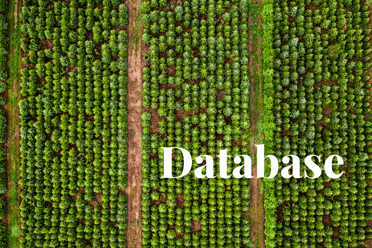 Tree database revolutionises environmentally-adapted reforestation