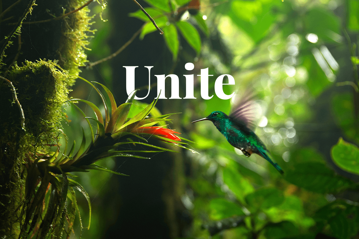 UK and France unite to drive Global Biodiversity Credits Roadmap for ...