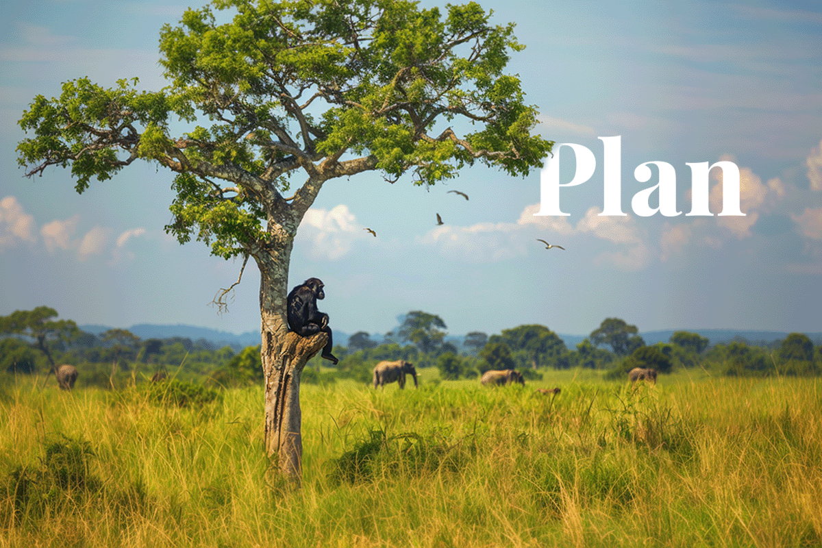 Uganda enters the second phase of its plan to combat biodiversity loss
