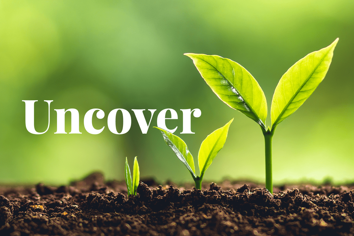 Uncovering the impact of Scope 3 emissions