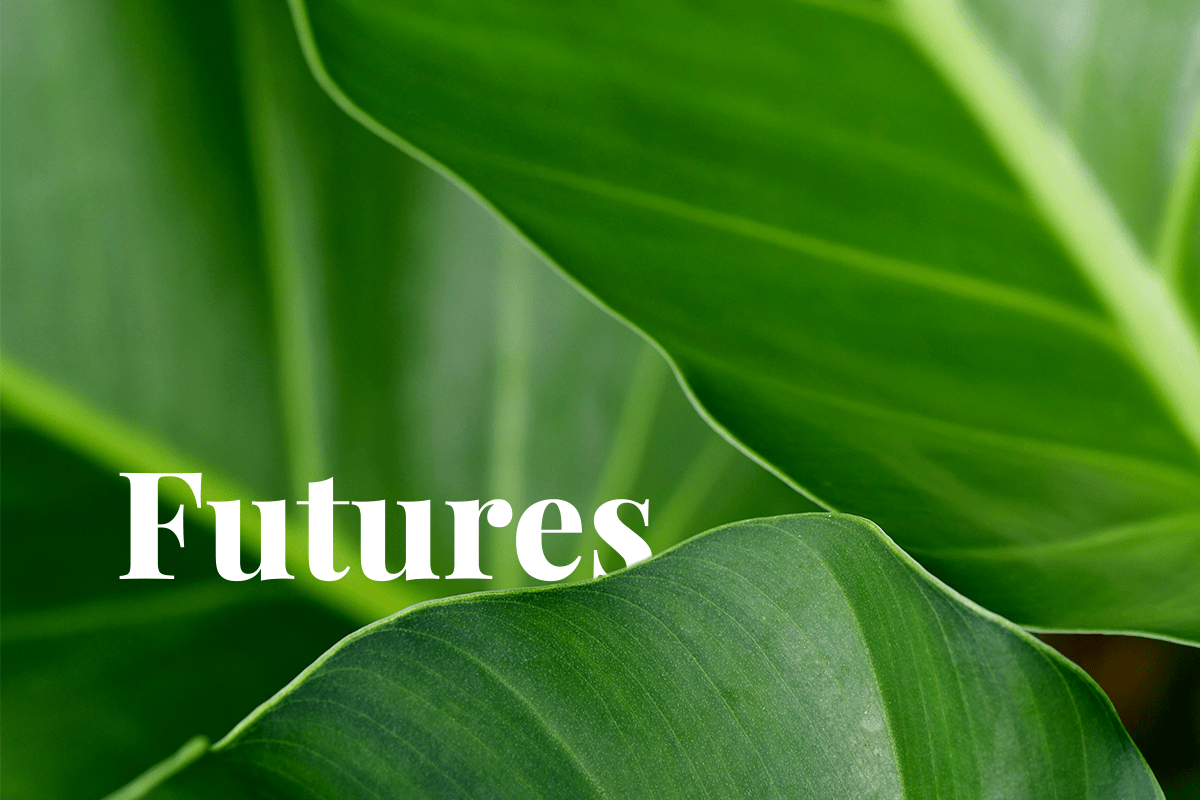 Investing in rising carbon prices: carbon credit futures, shares, and ETFs