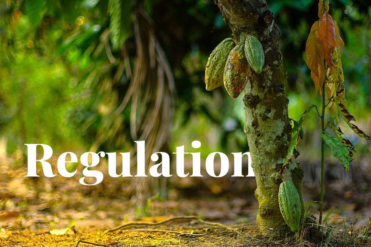 Update: EU’s new deforestation regulation