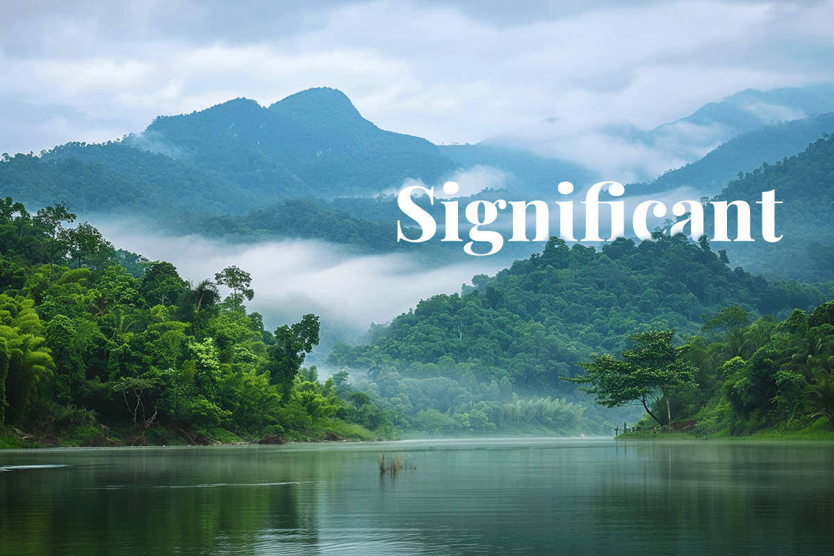 Vietnam’s forest carbon credits earn $51.5 million