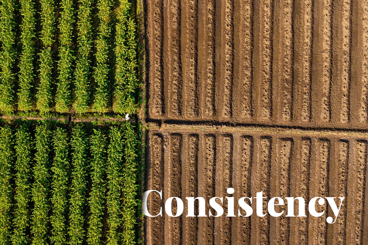 Verra unveils new draft REDD methodology to support nature-based ...