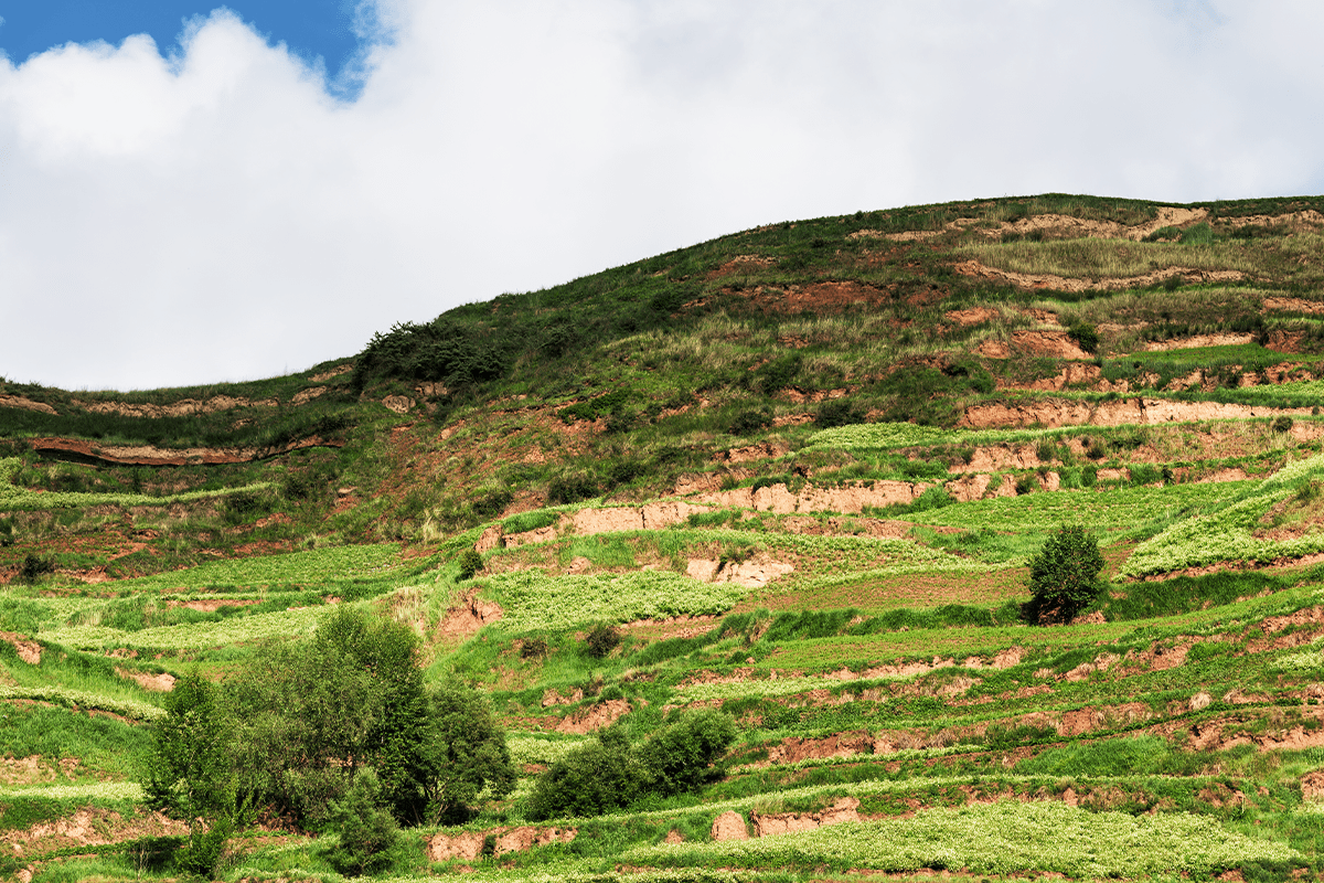 What is sustainable land management?