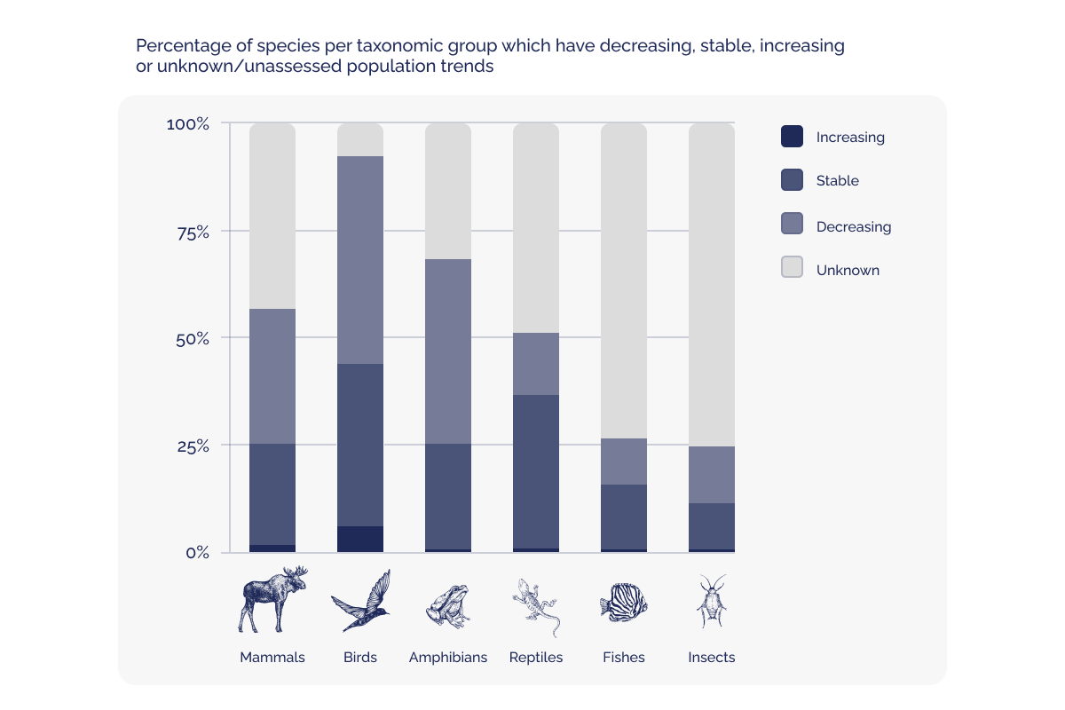 Study reveals an alarming decline in animal species
