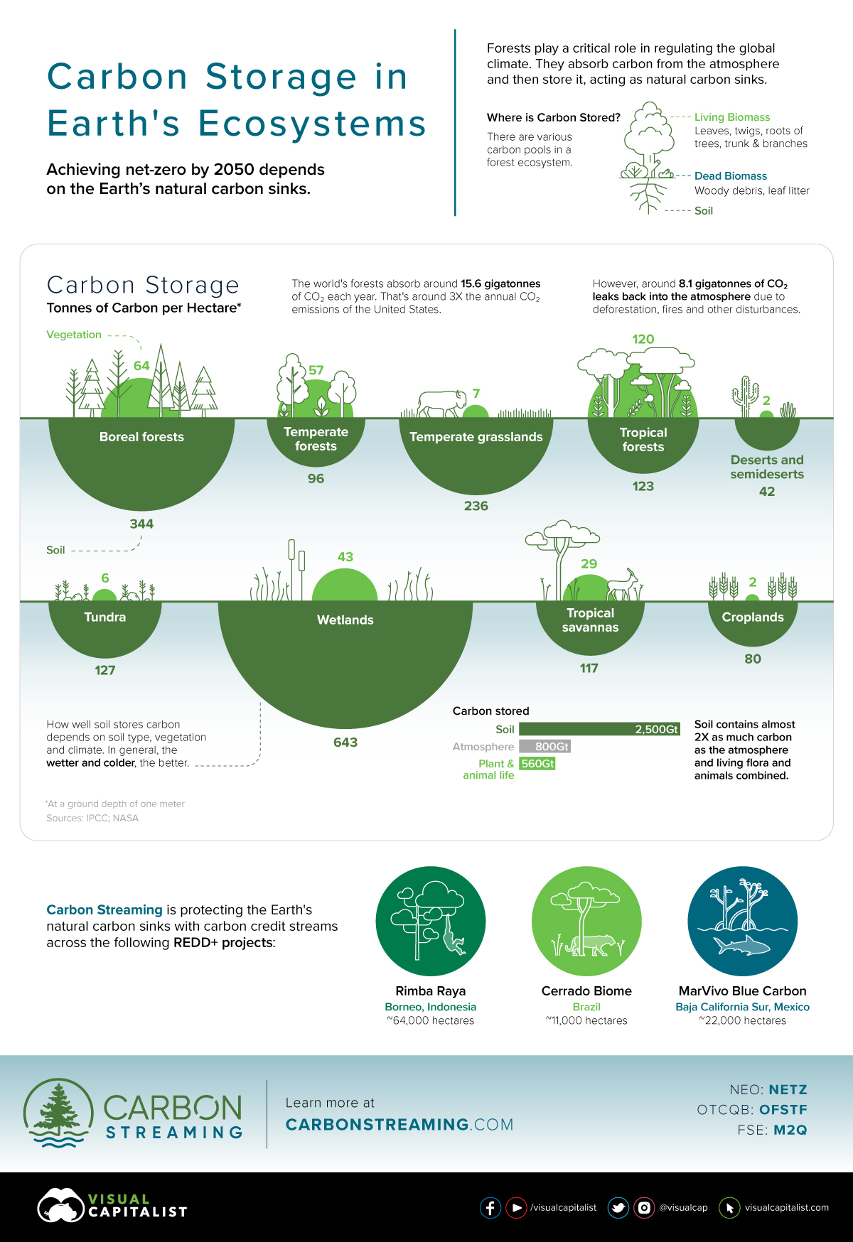 Visualizing carbon storing in Earth’s ecosystems