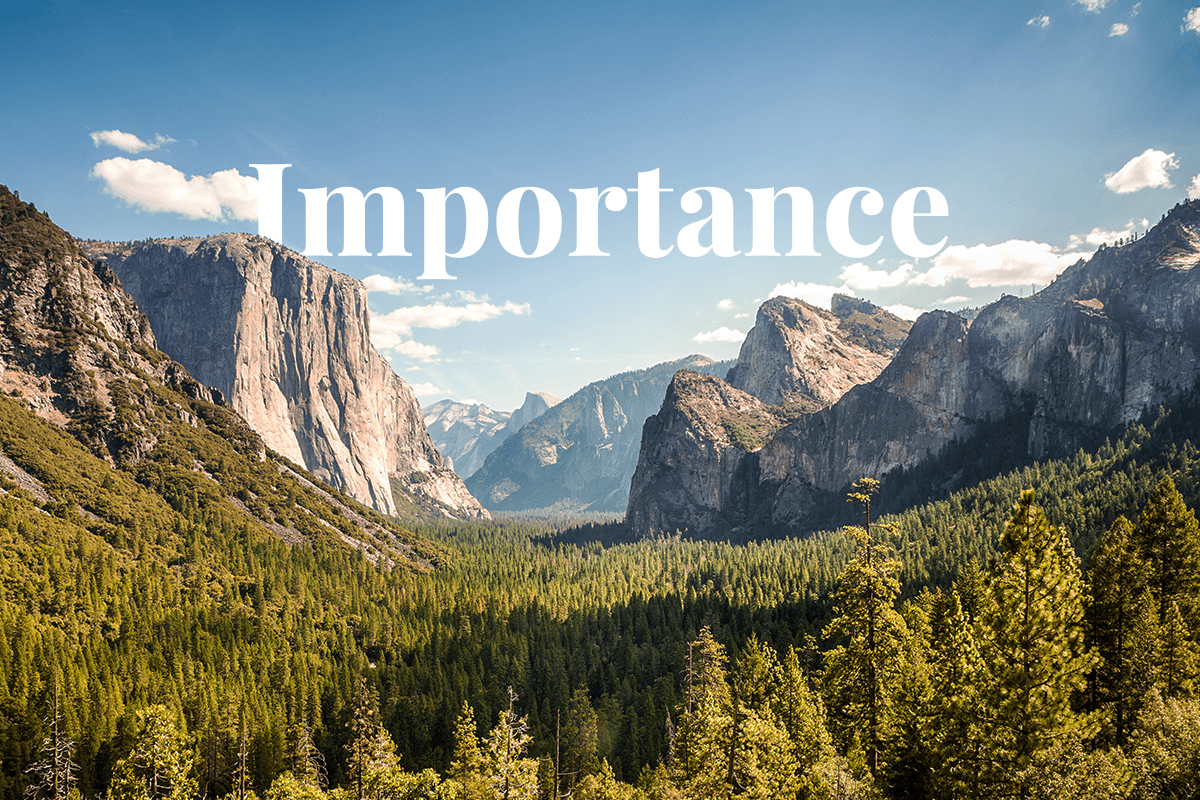 Deforestation in the United States: causes, consequences, and cures