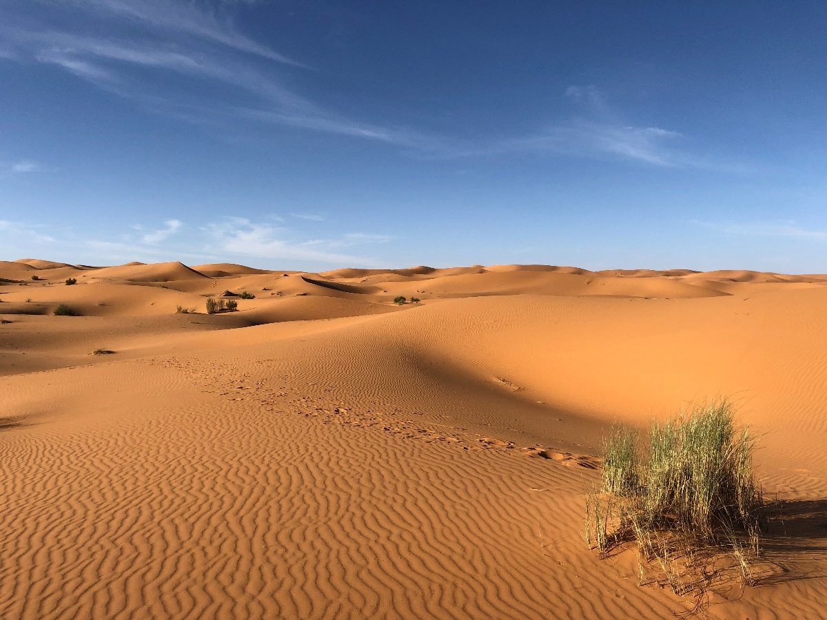 Desertification in the Sahel