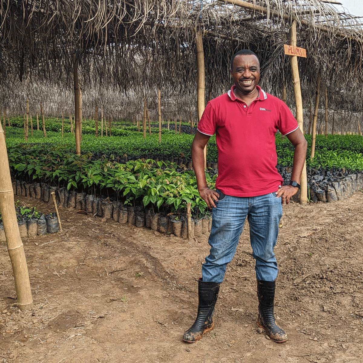 Green Earth | Team | Theodore Oben