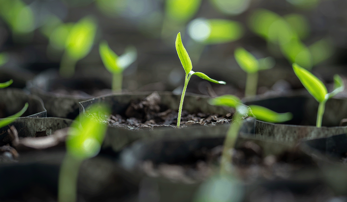 Investing in nature: A key solution to prevent nature loss