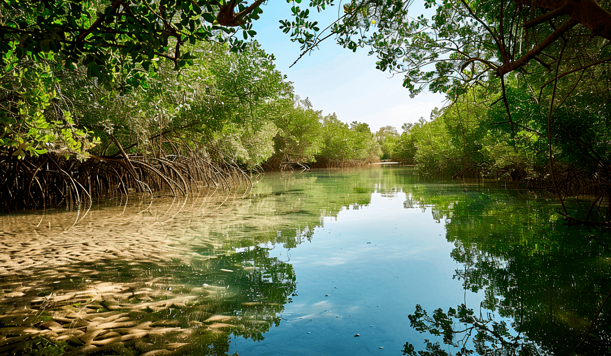 Saudi Arabia ramps up environmental efforts with carbon credit initiatives