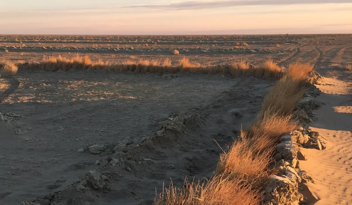 DGB Group fait avancer le Lake Aral Afforestation Project vers sa mise ...