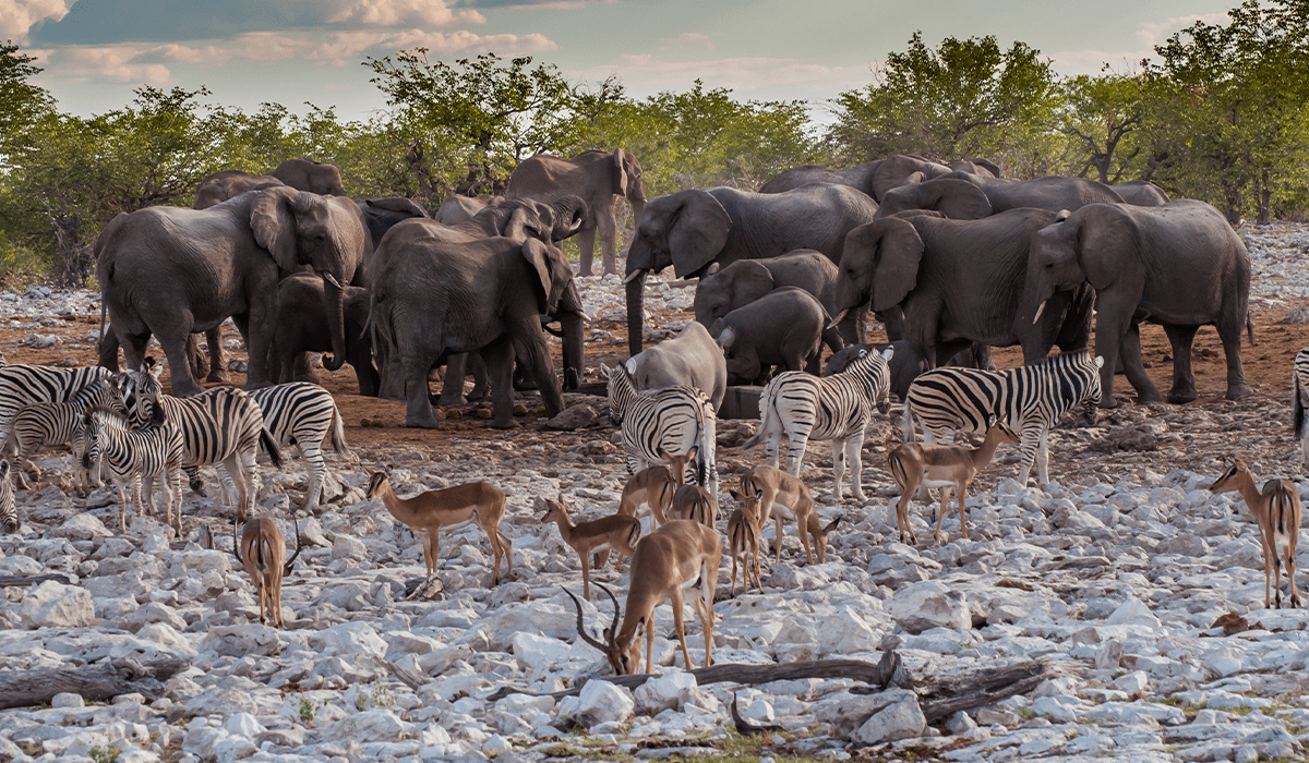 10 Vital ecosystem services: sustaining life on Earth