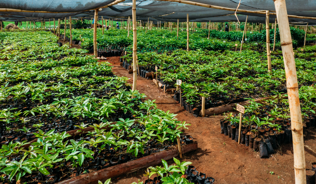 DGB Group publishes 2024 semi-annual report