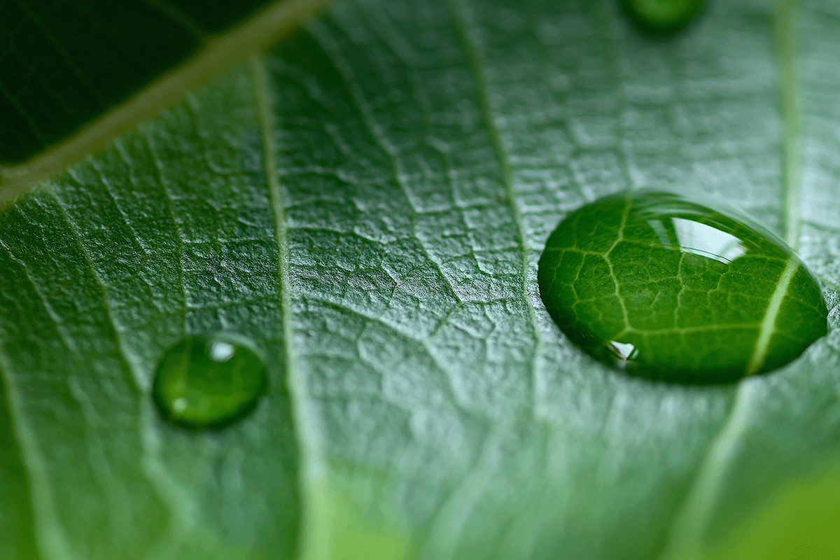 Restoring confidence: how rating firms are helping companies