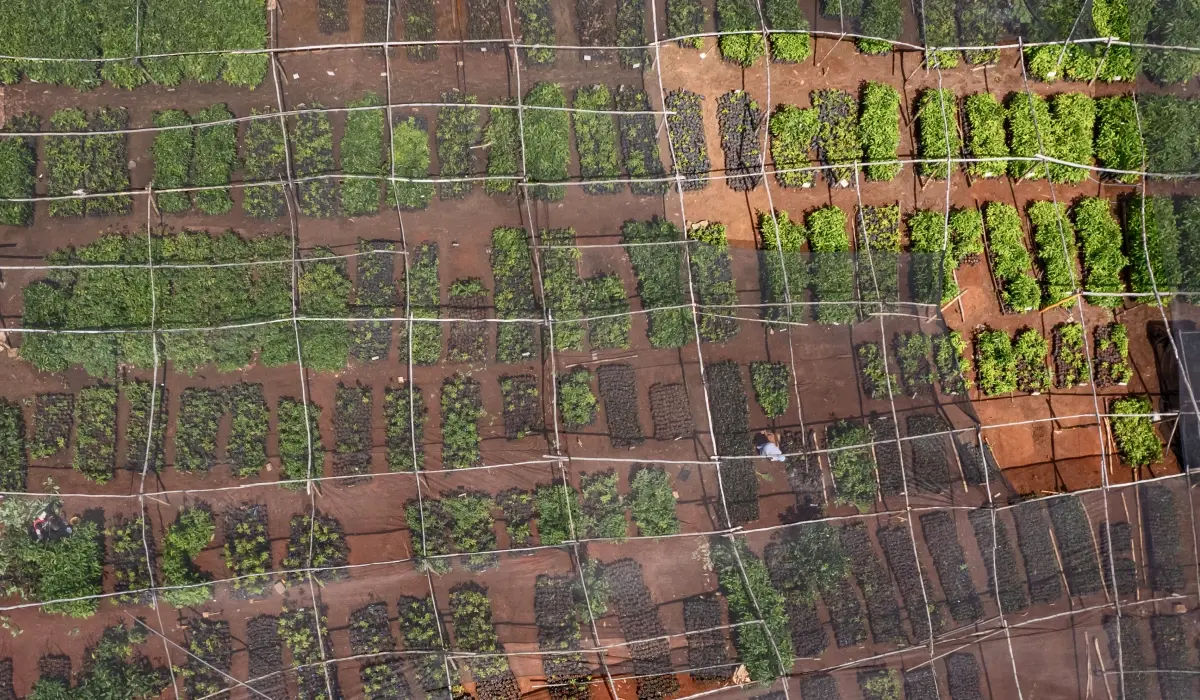 DGB Group publishes audited 2024 annual report and convenes AGM