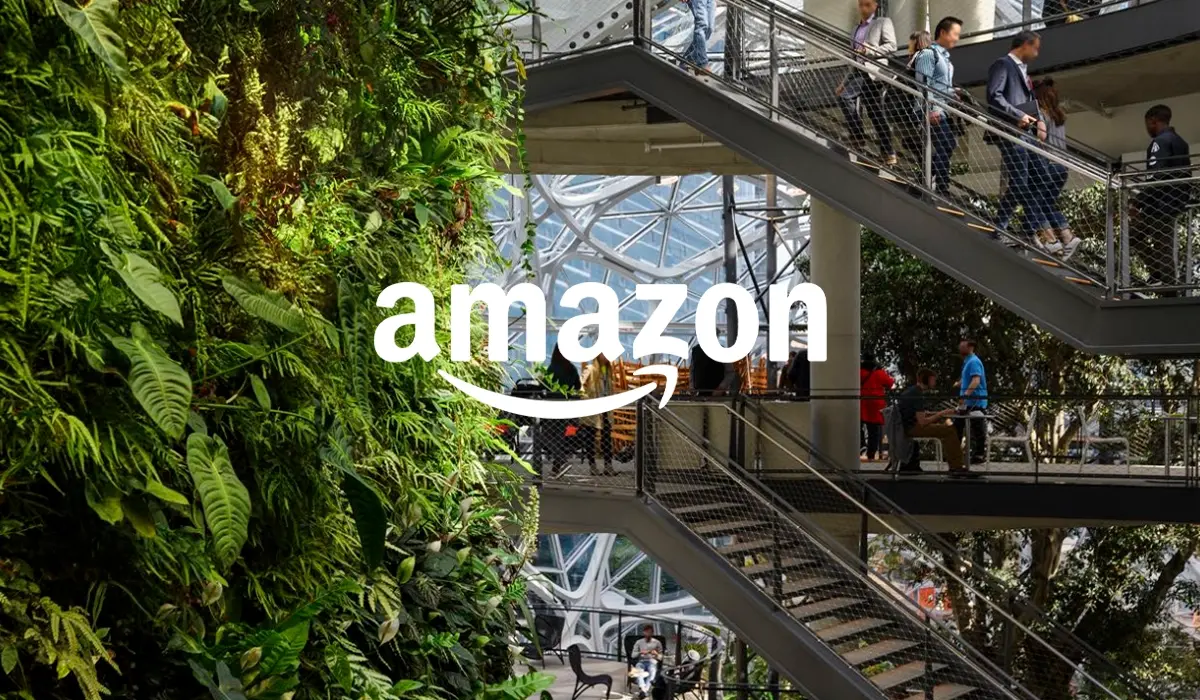 Amazon: how nature-based solutions drive net-zero carbon goals