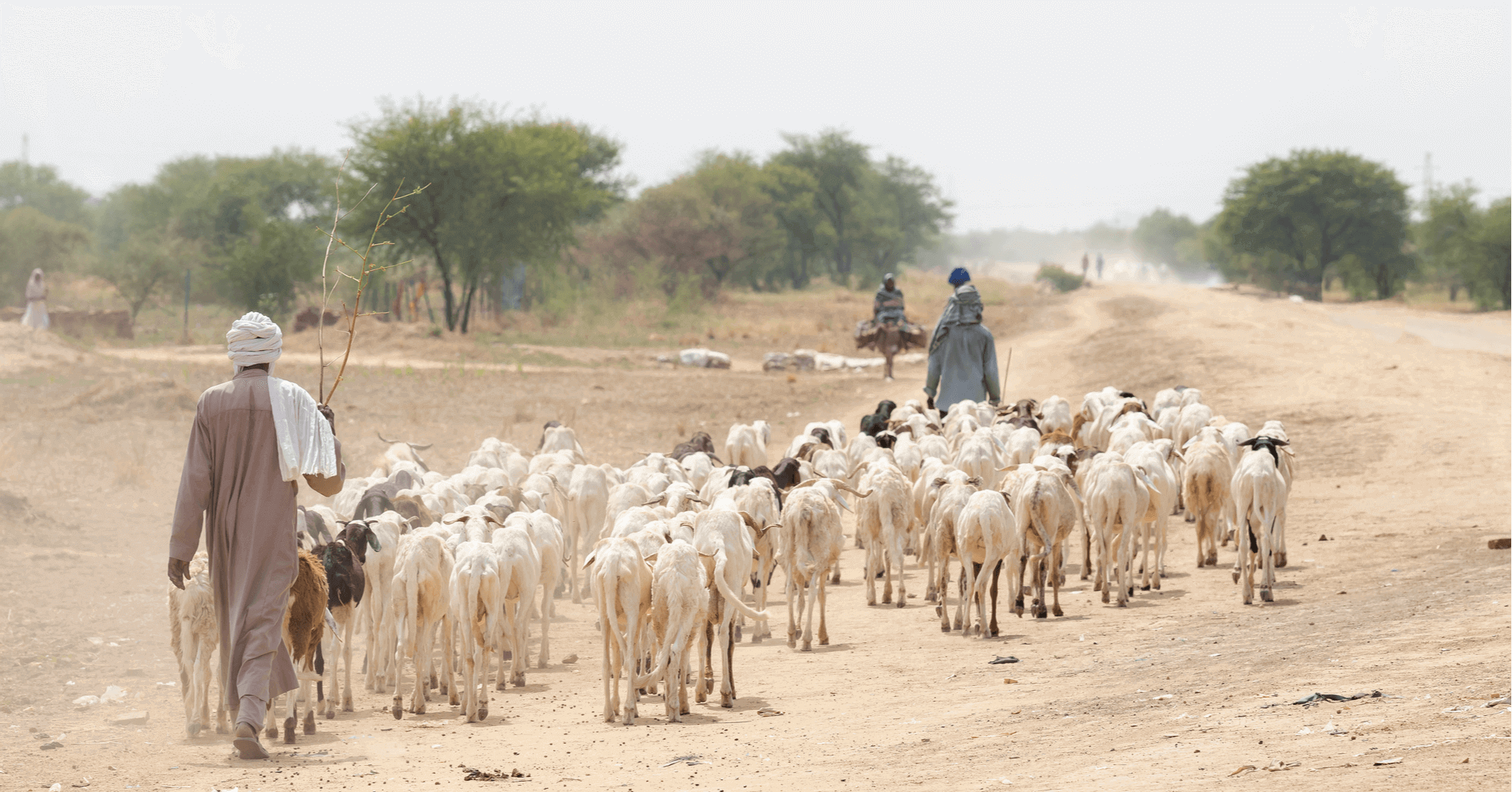 Three desertification examples