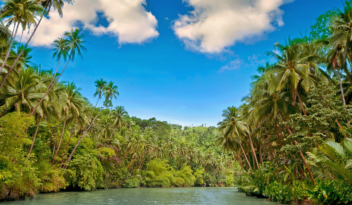 Brazil invests $350 billion for a greener economy and sustainable ...
