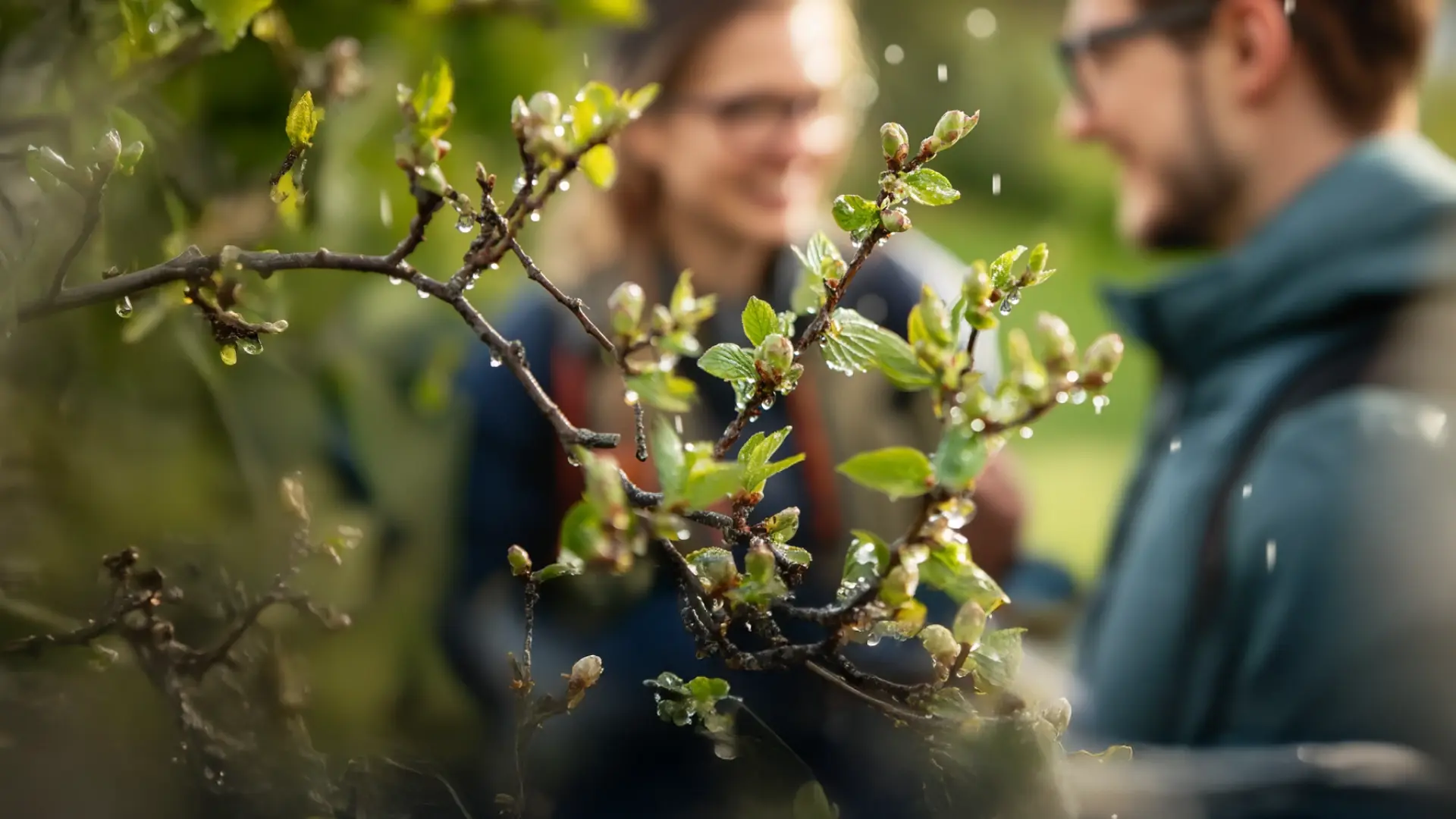 Building a Sustainability Role from the Ground Up with Megan Harper