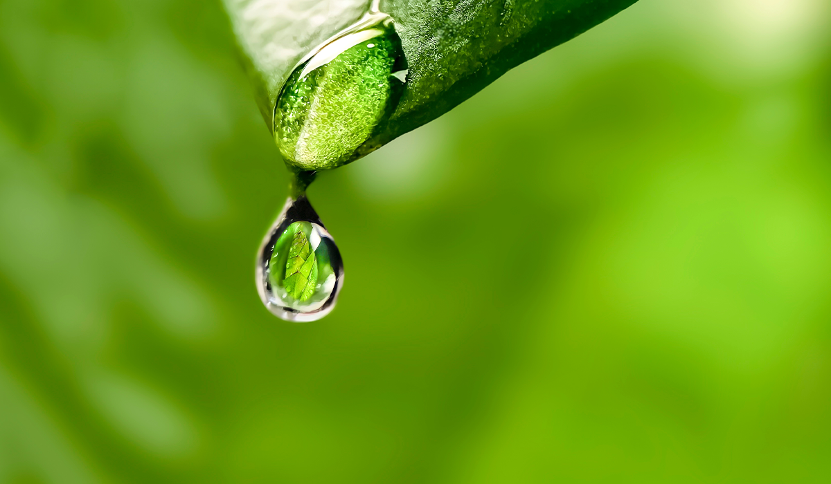 Chile's largest green hydrogen plant to begin synthetic gasoline production