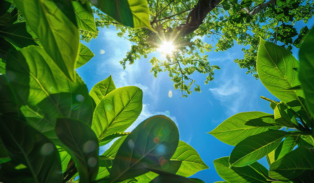 DGB Group shares increase 75% in first half of the year