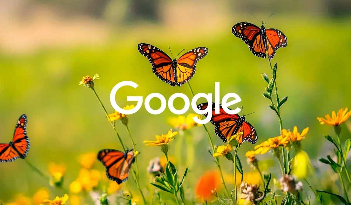 Google’s nature-based strategy: achieving net zero while enhancing ...