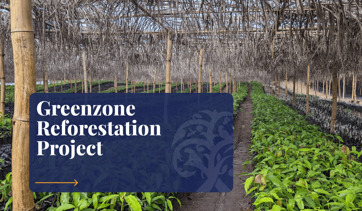 DGB Group | Greenzone Reforestation Project, Cameroon