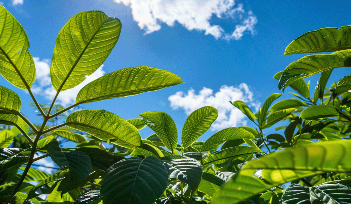 Empowering green futures: HSBC partners with Google to boost ...