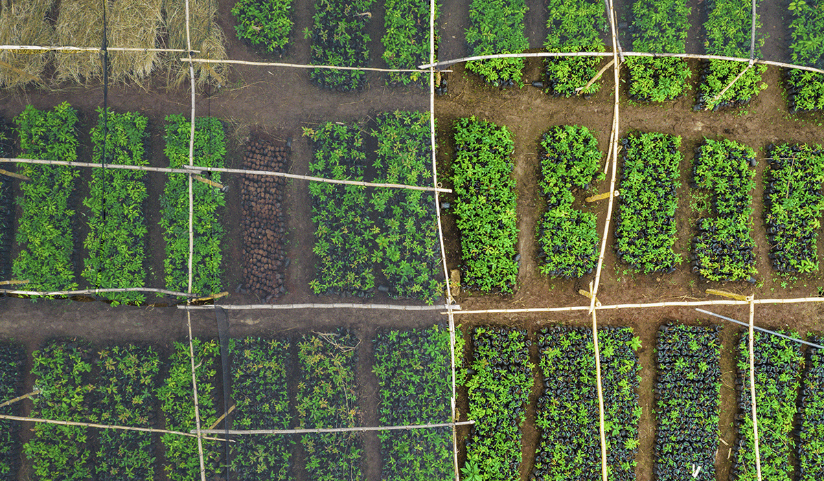 ICVCM launches core carbon principles for high-impact carbon credits