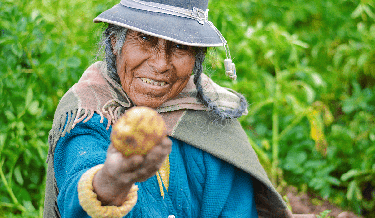 Indigenous communities: leading the way in biodiversity conservation in ...