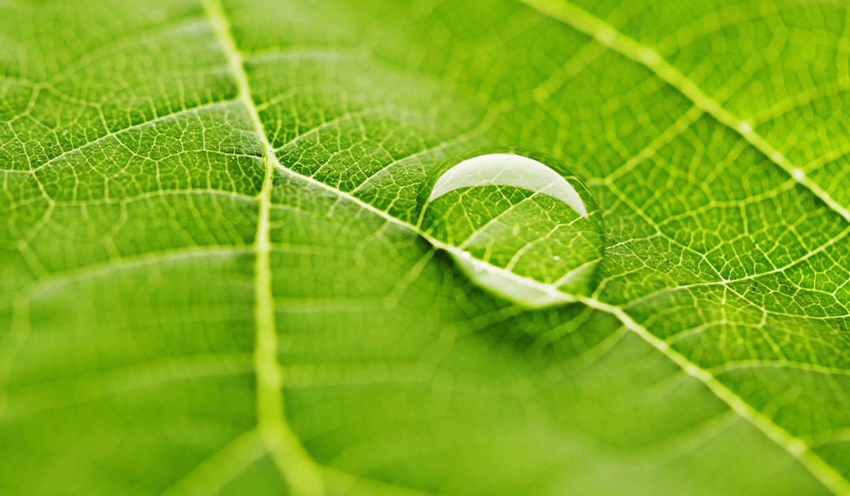 Isometric raises $25 million to boost carbon removal industry's ...